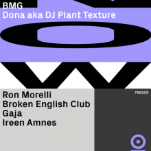 Erika | Interdimensional Transmissions